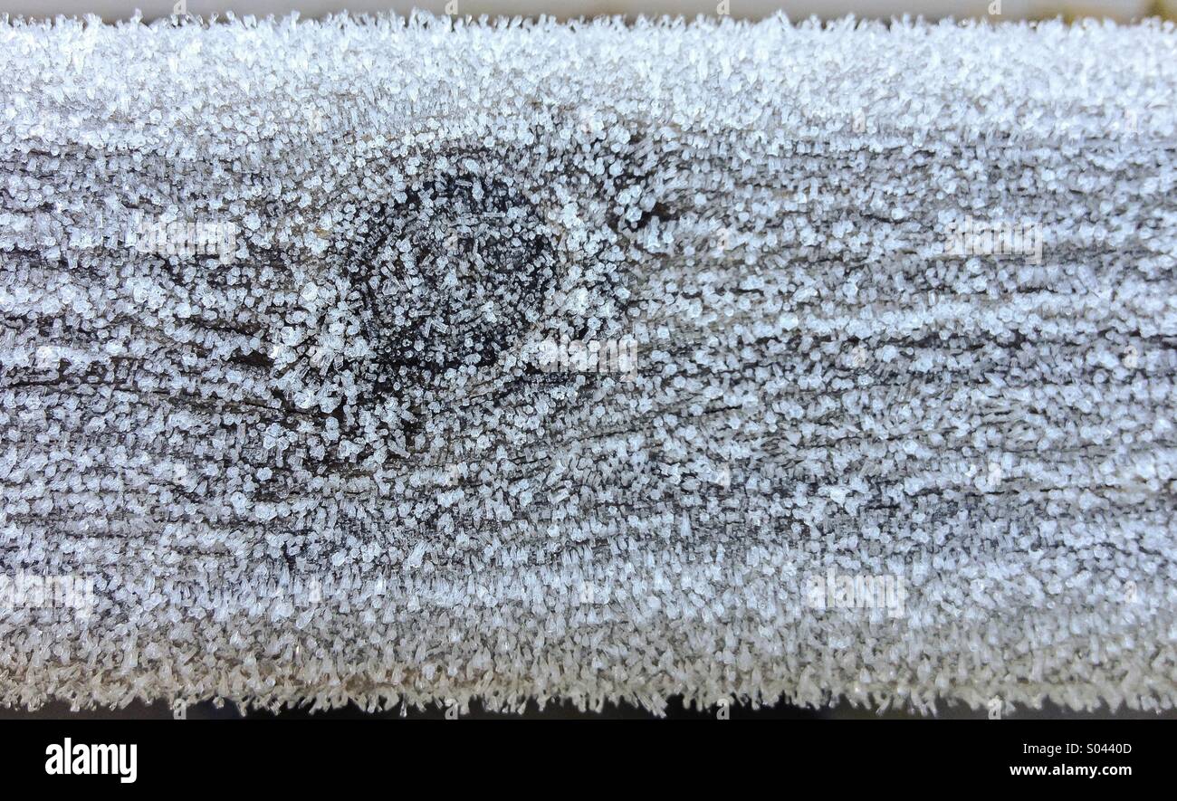 Cold tree pole Stock Photo - Alamy