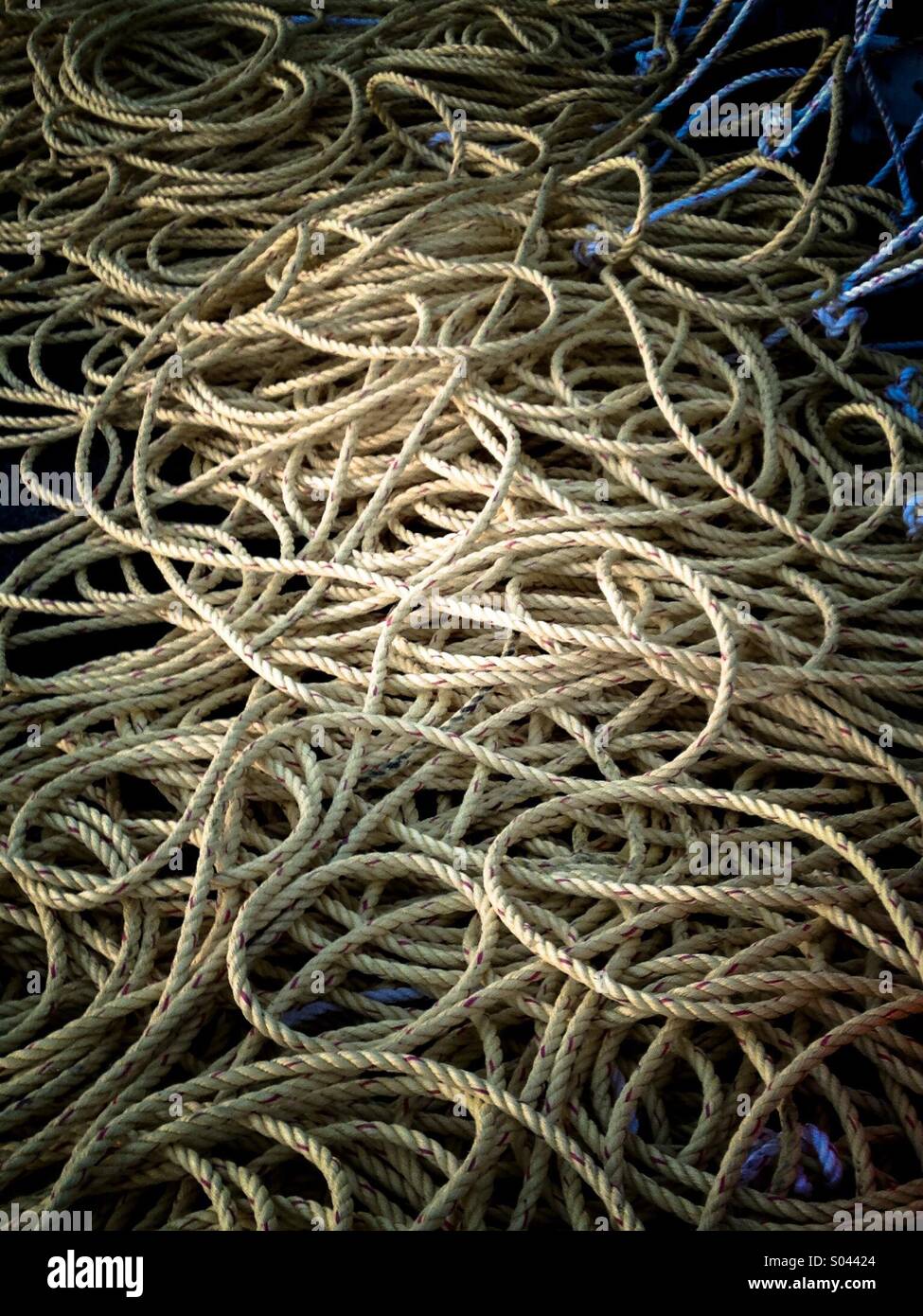 Large pile of fishing ropes Stock Photo - Alamy