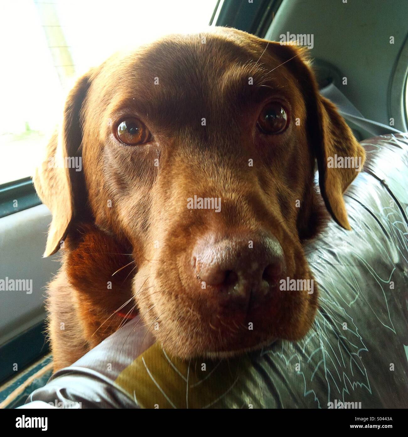 Car Wexford High Resolution Stock Photography and Images - Alamy