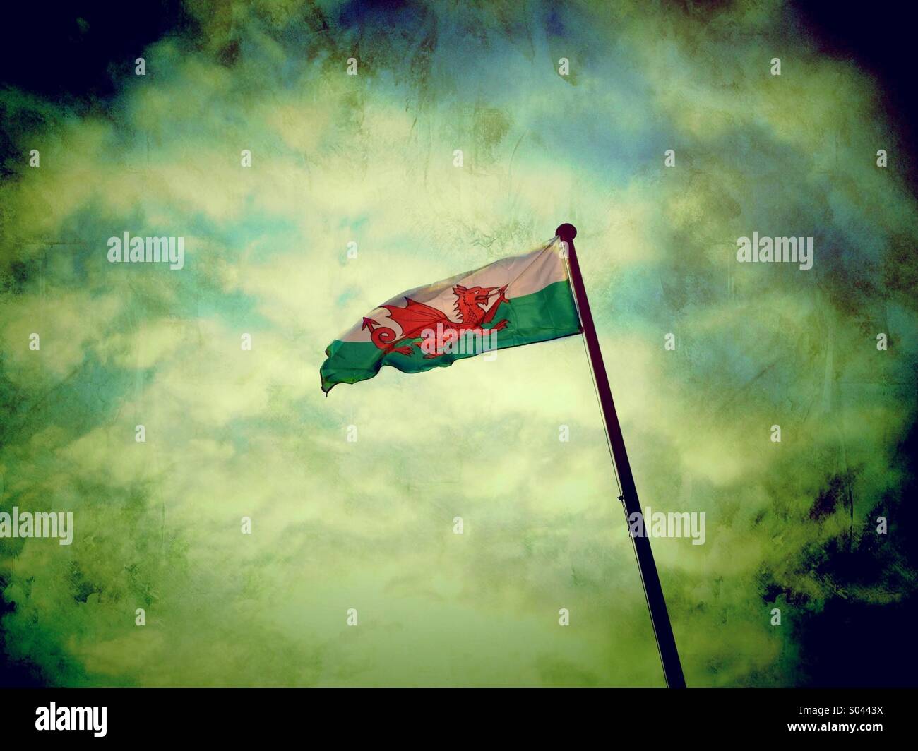The welsh flag wales hi-res stock photography and images - Alamy
