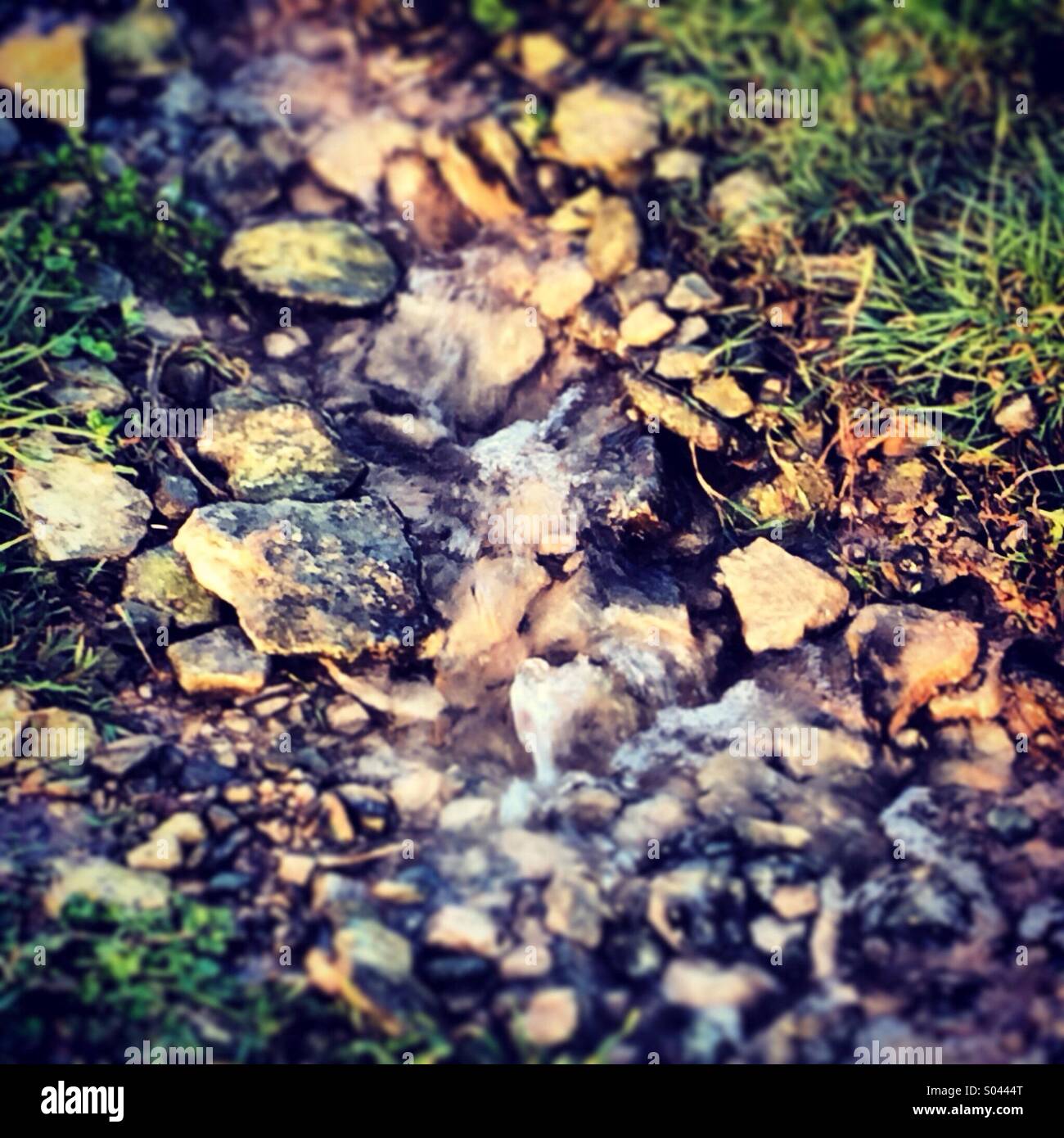 Trickling Brook High Resolution Stock Photography and Images - Alamy