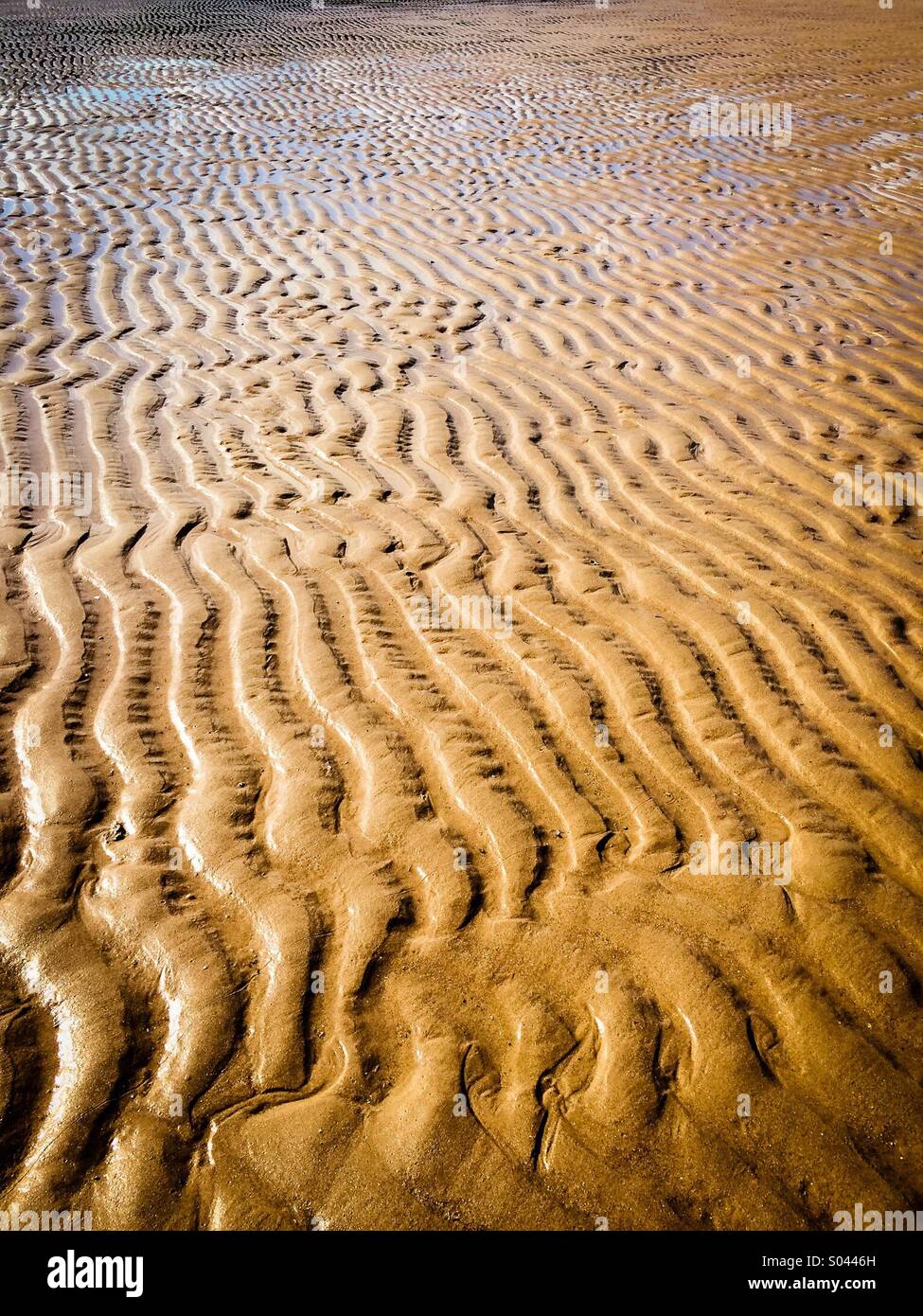 Ribbed beach sand in the evening light Stock Photo - Alamy