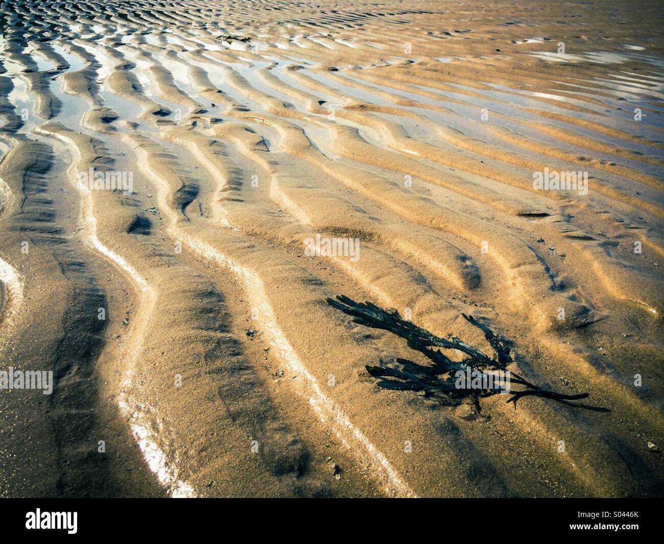 Ribbed sand hi-res stock photography and images - Alamy