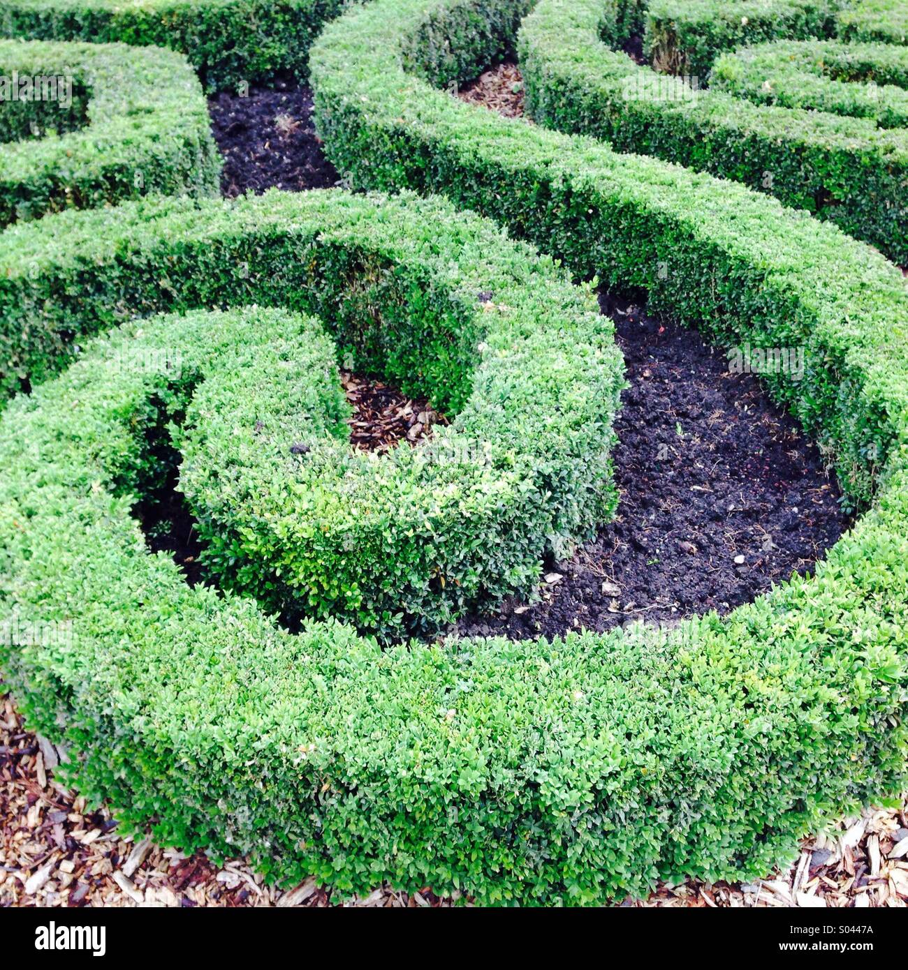 Clipped hedge formal hi-res stock photography and images - Alamy