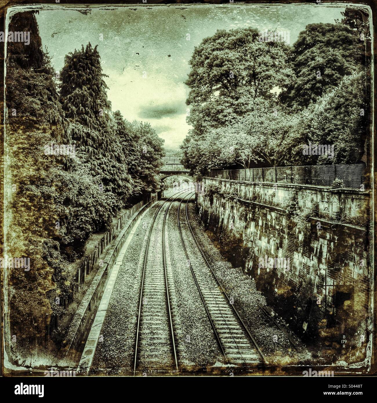 Railway trees cutting hi-res stock photography and images - Alamy