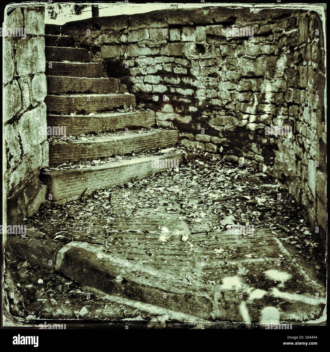 Pathway steps hi-res stock photography and images - Alamy