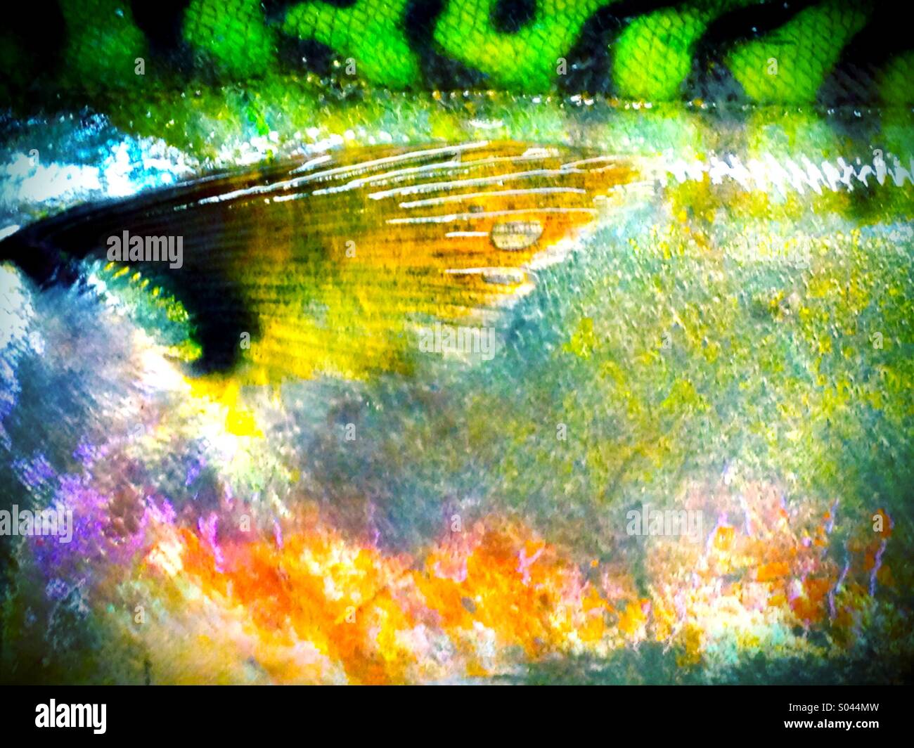 Skin colour hi-res stock photography and images - Alamy