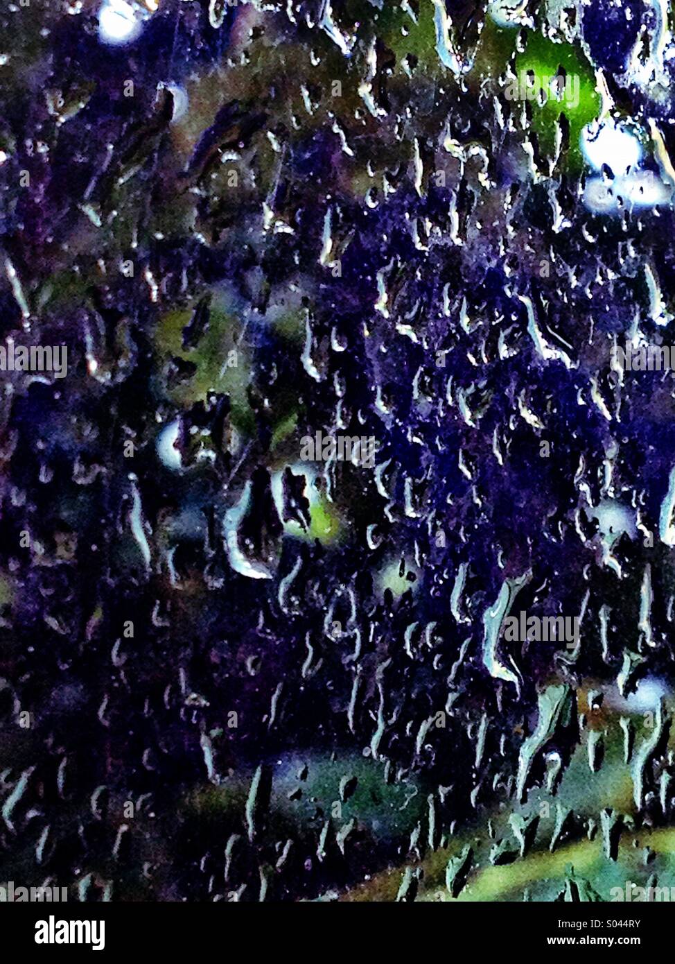 Rain on my window Stock Photo - Alamy