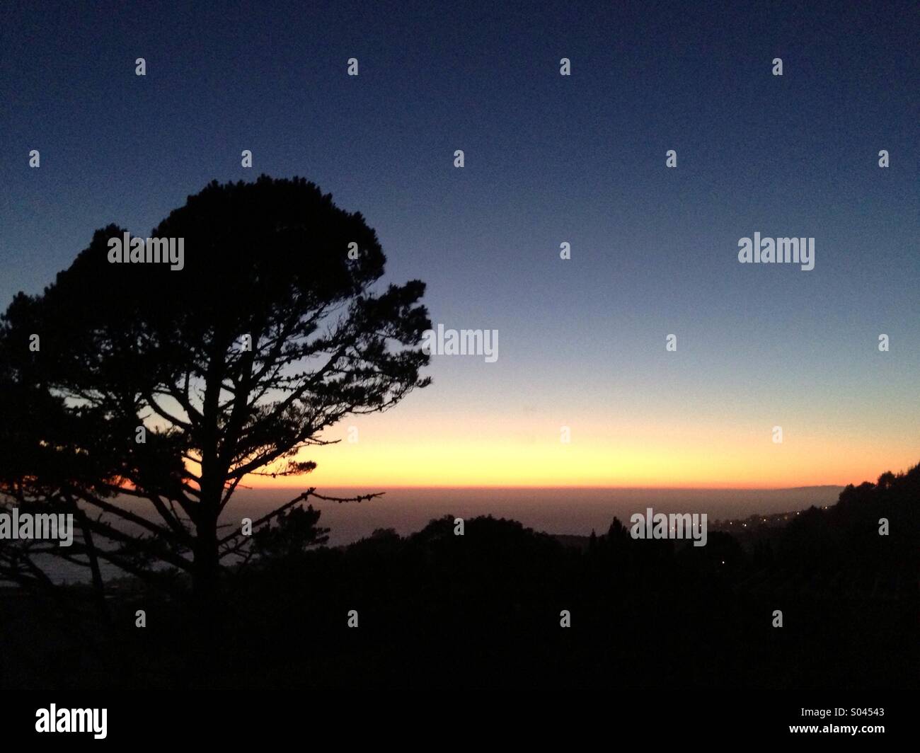 Sunset Horizon tree Stock Photo - Alamy