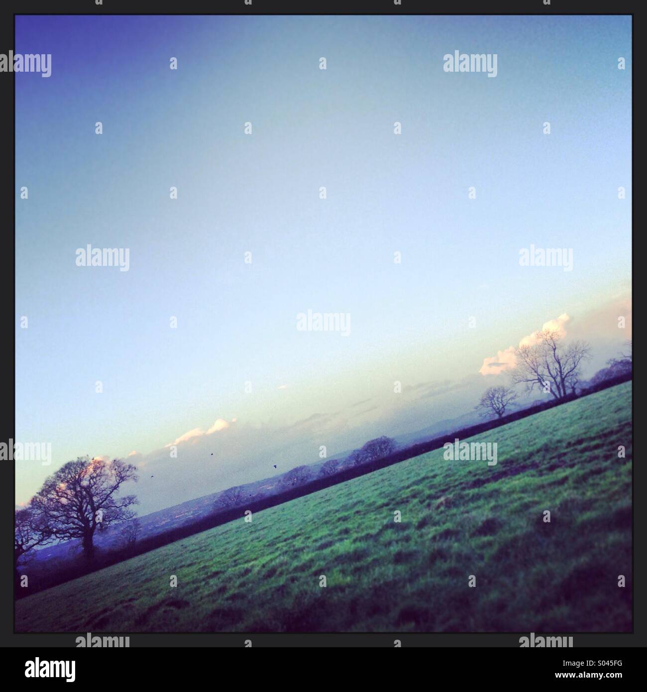 Woodbury common devon hi-res stock photography and images - Alamy