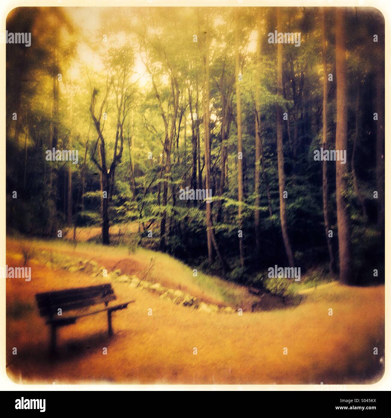 Scary bench hi-res stock photography and images - Alamy