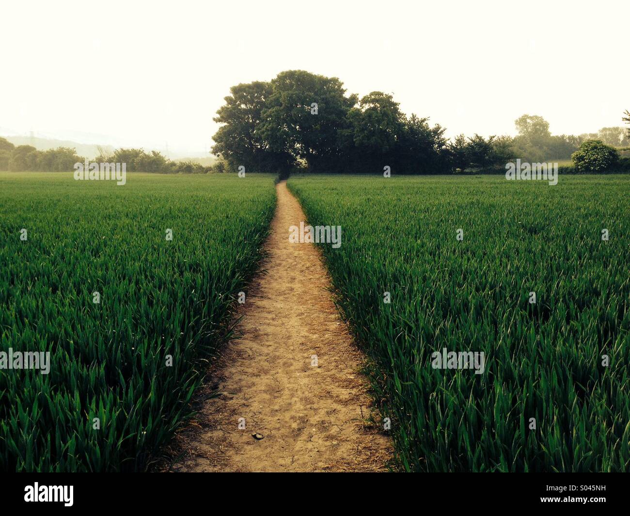 Straight through track hi-res stock photography and images - Alamy