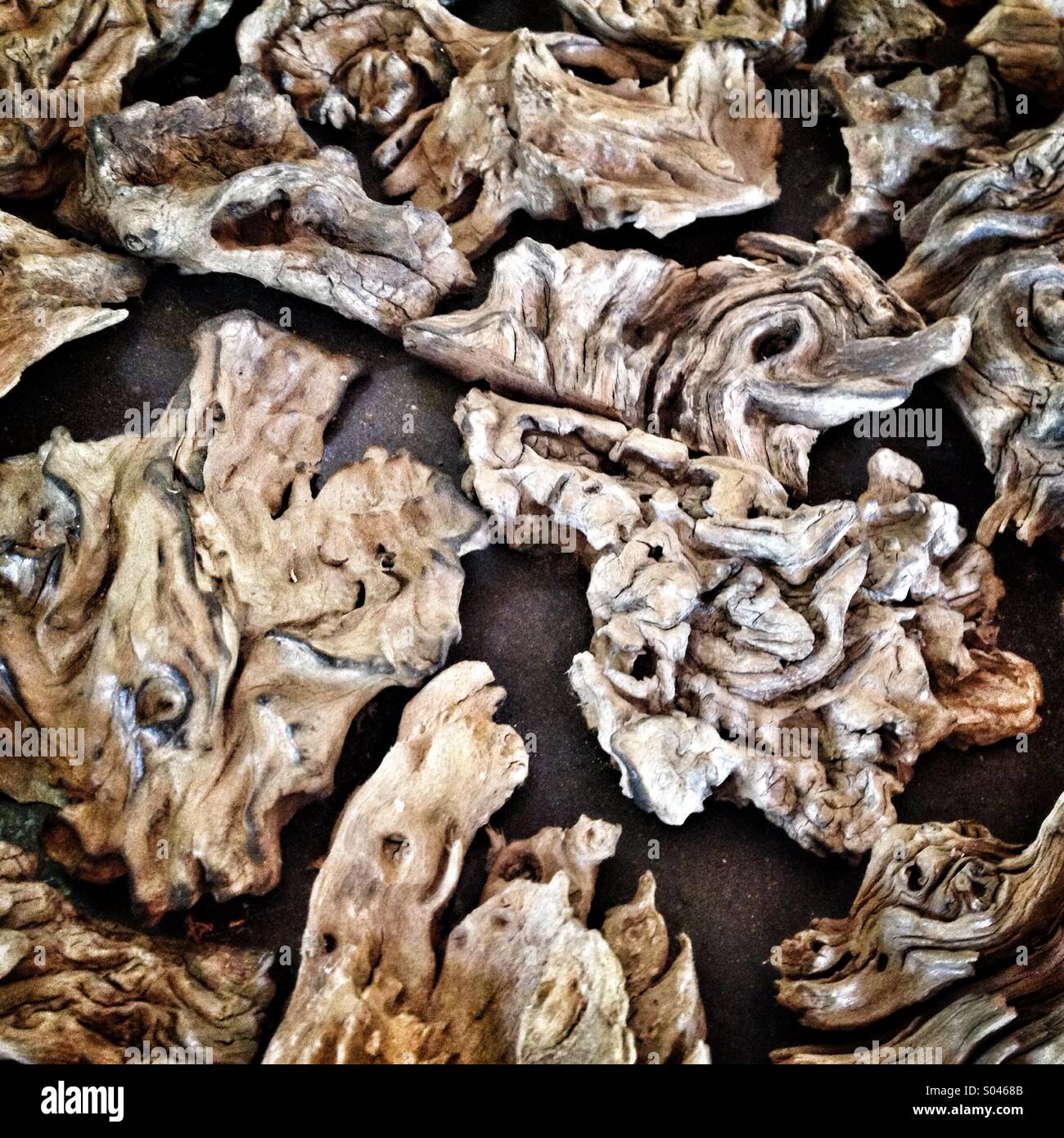 Graphical trees hi-res stock photography and images - Alamy