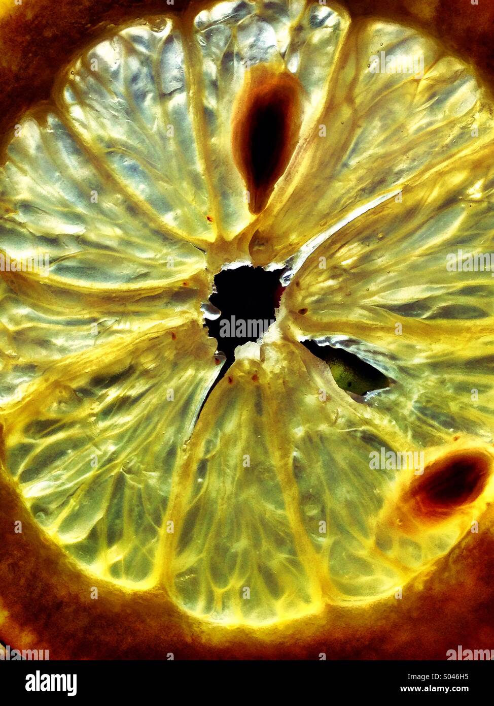 Lemon structure hi-res stock photography and images - Alamy