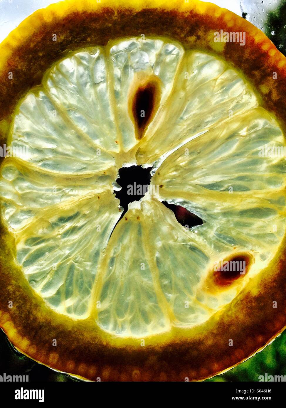 Wheel of lemon Stock Photo - Alamy