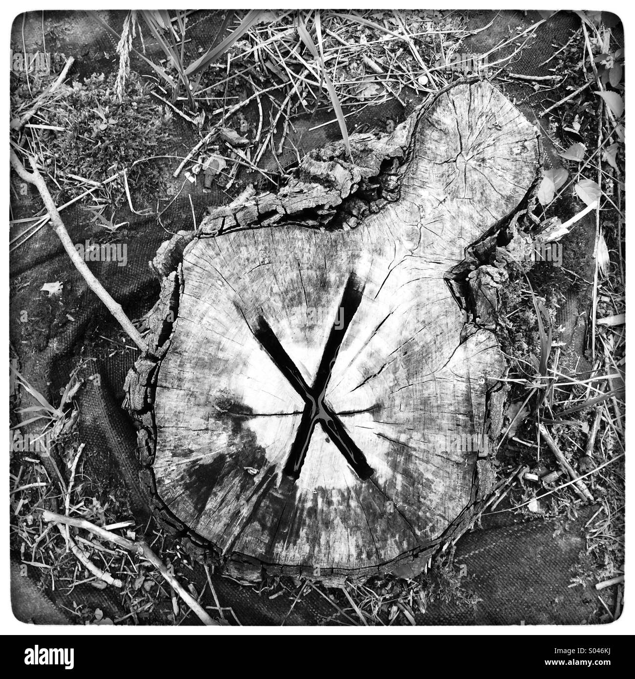 X sign hi-res stock photography and images - Alamy