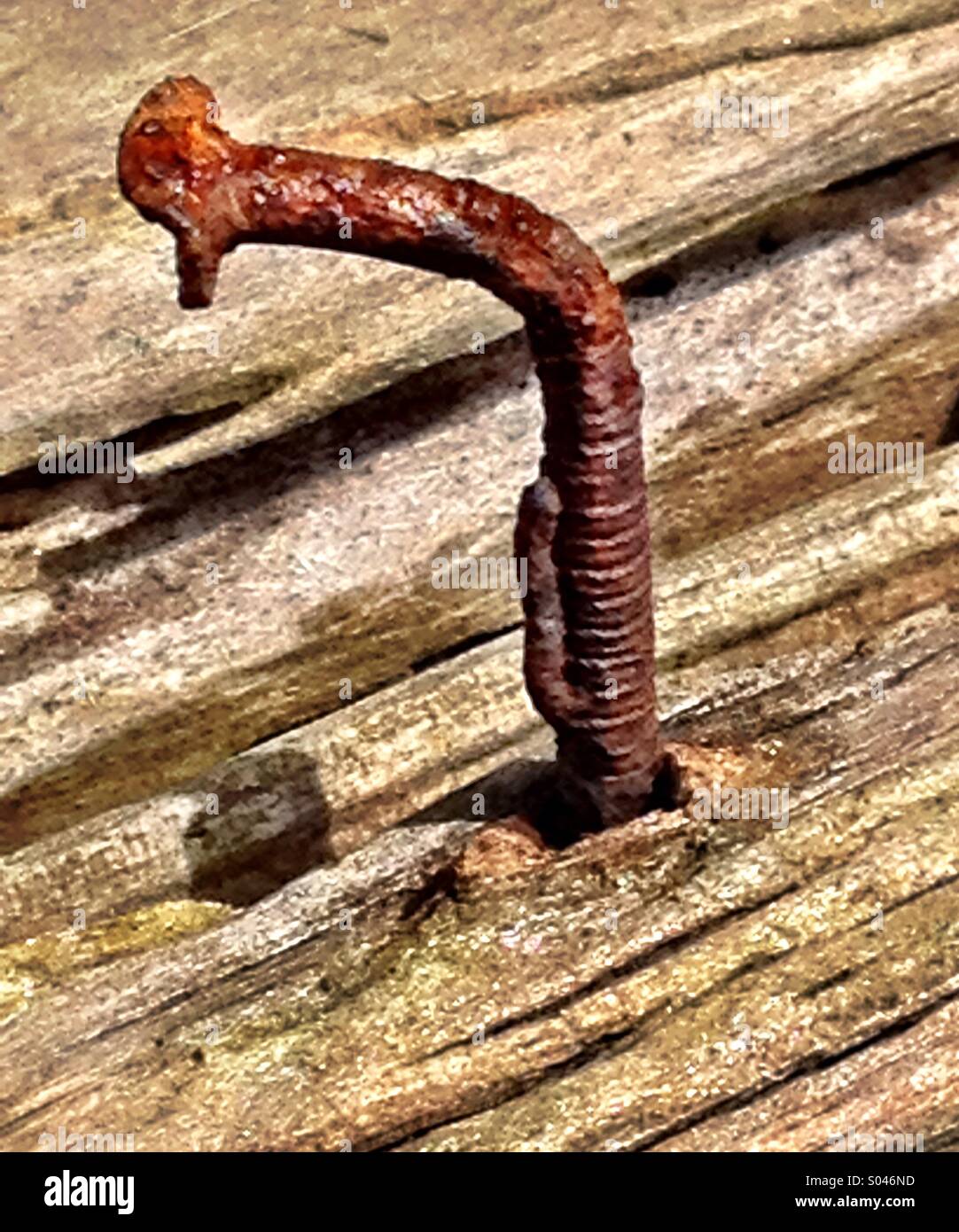 Rusty nail in wood texture Stock Photo - Alamy