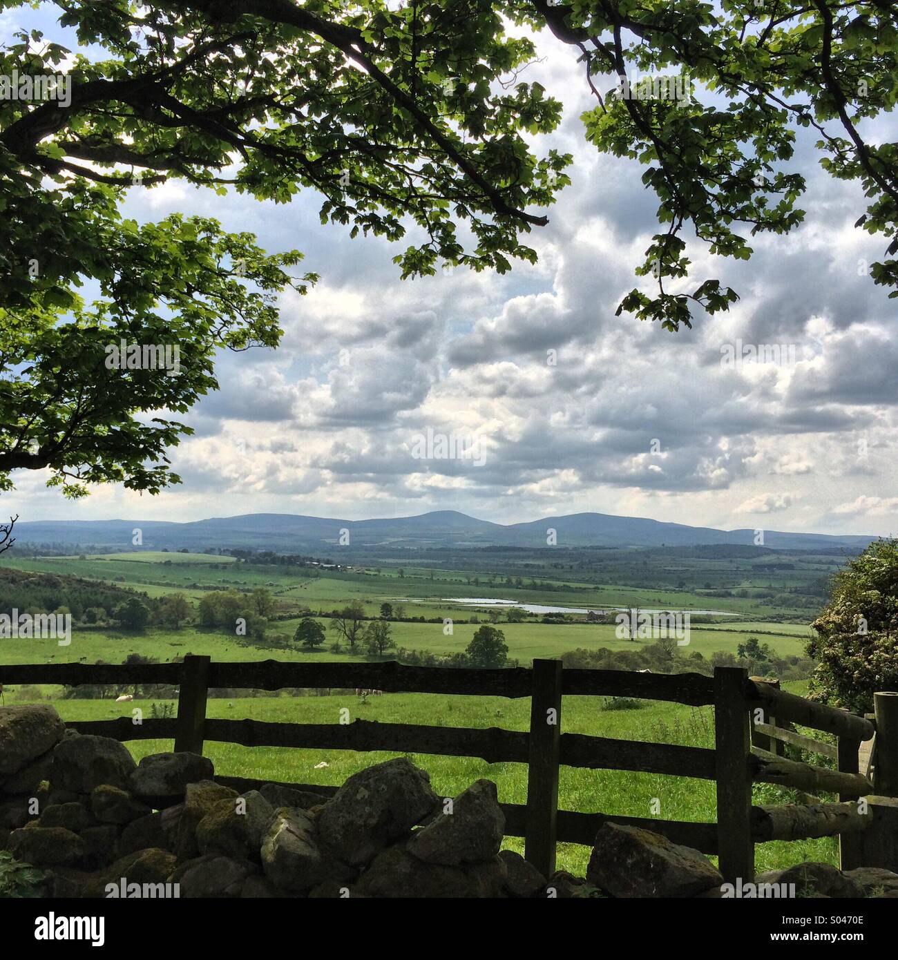 Cheviot Hills Stock Photos & Cheviot Hills Stock Images - Alamy