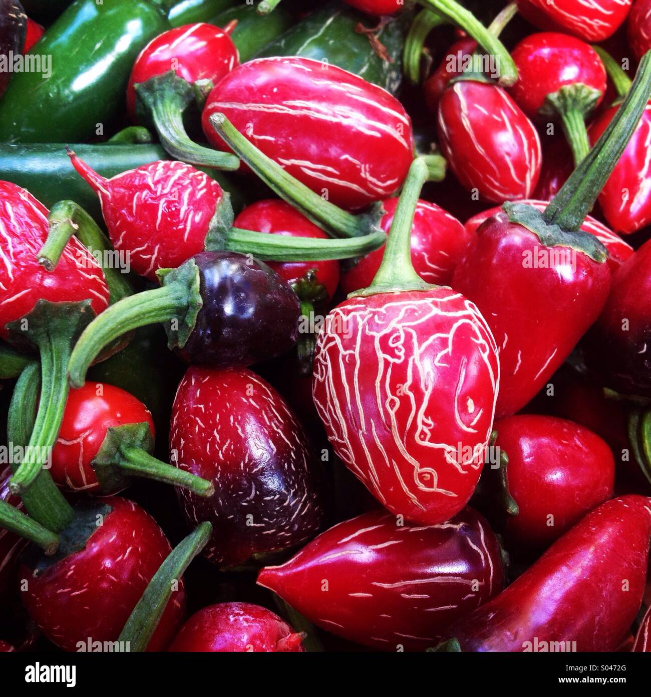 Organic ref hot chili peppers are displayed in Mercado el 100 ...