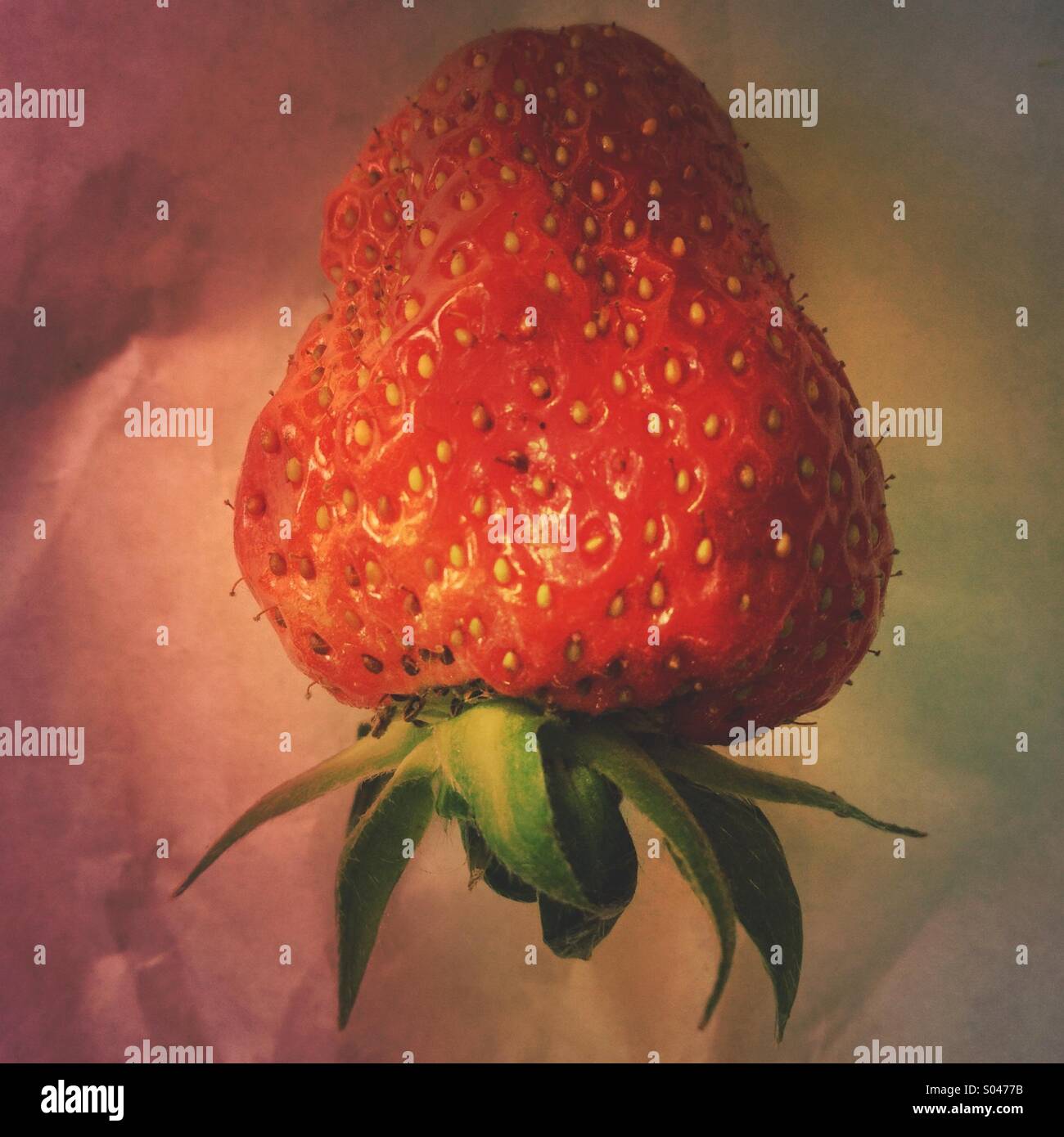 Red strawberry hi-res stock photography and images - Alamy