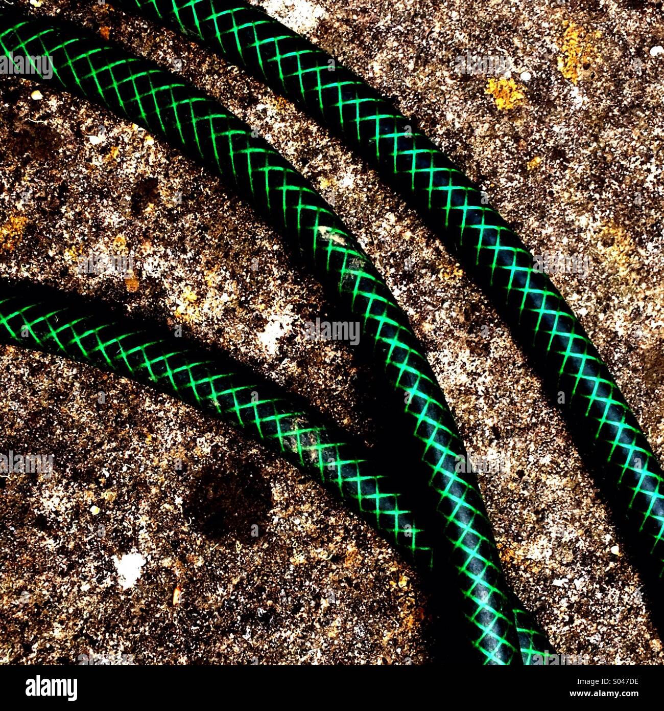 Hosepipe garden hi-res stock photography and images - Alamy