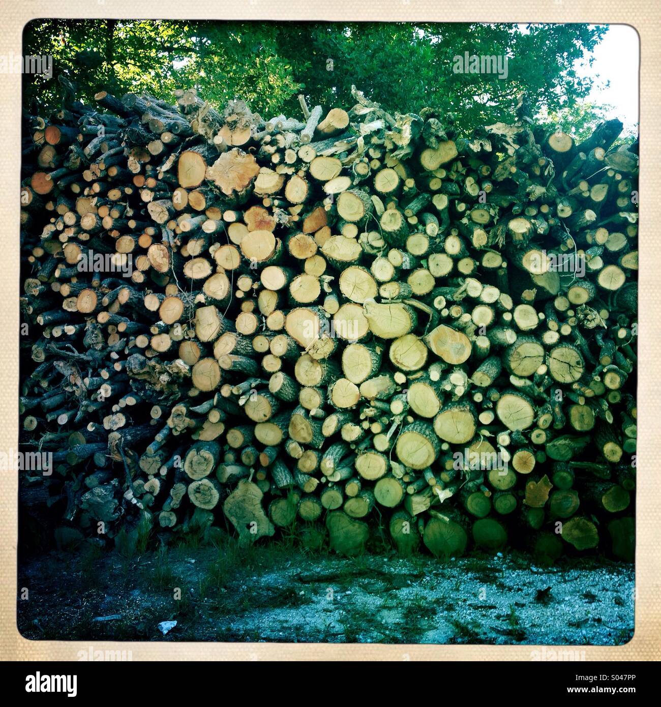 Stacked firewood hi-res stock photography and images - Alamy