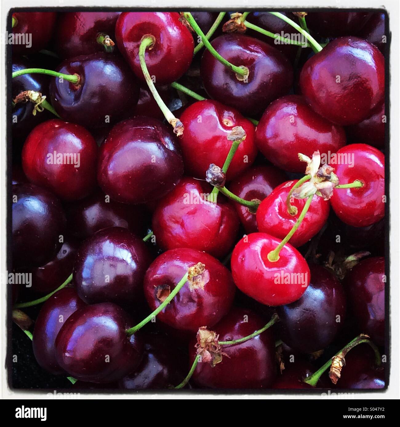 Close up ripe red cherries hi-res stock photography and images - Alamy