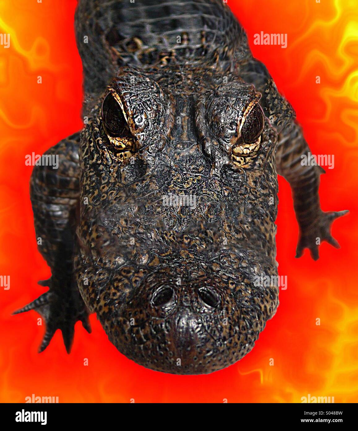 Pool of fire hi-res stock photography and images - Alamy