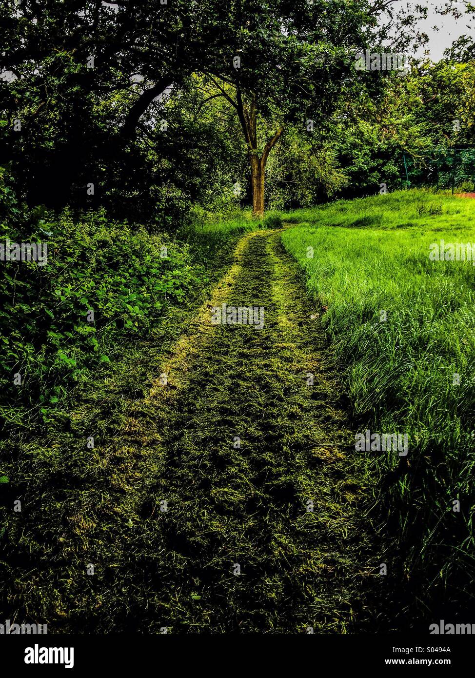 Path mown into grass hi-res stock photography and images - Alamy