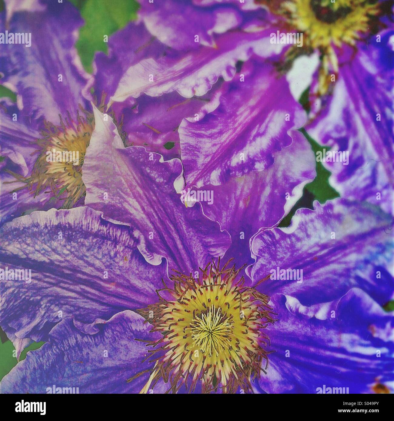 Gungy hi-res stock photography and images - Alamy