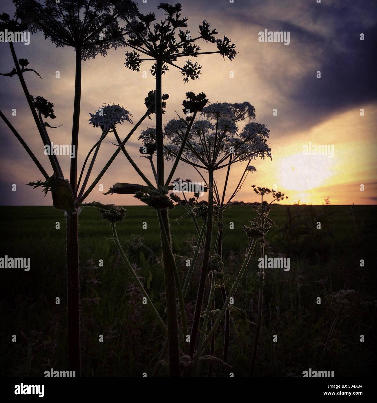 English summer sky hi-res stock photography and images - Alamy