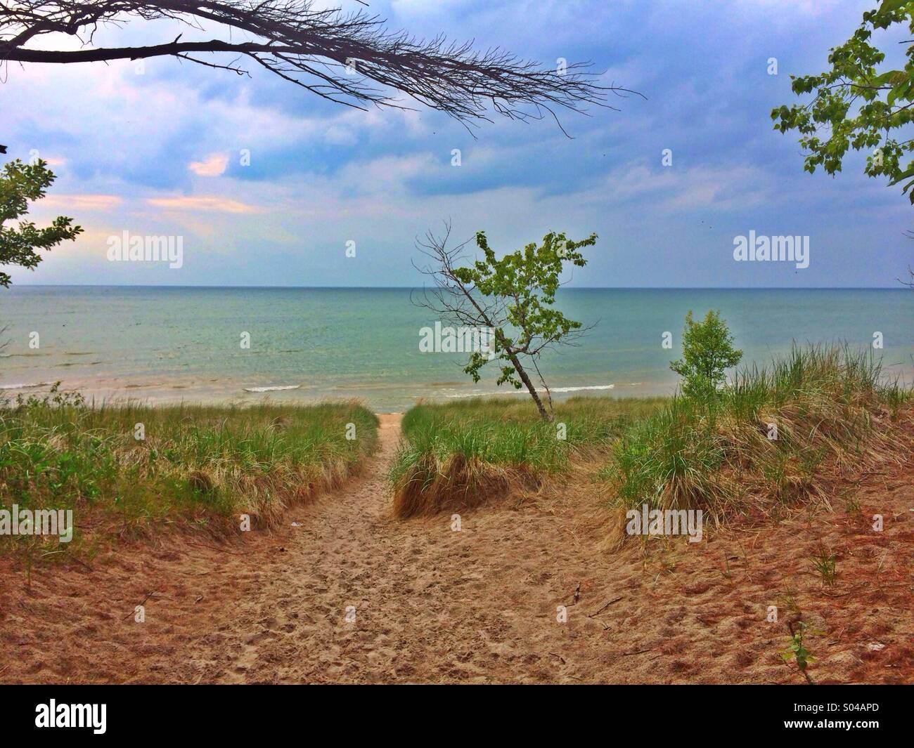 Pinery provincial park Stock Photo - Alamy Pinery provincial park Stock Photo - Alamy