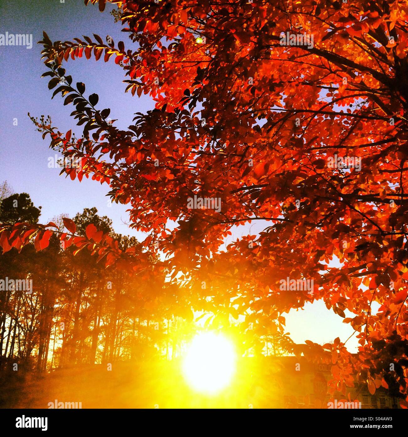 Sunset october hi-res stock photography and images - Alamy