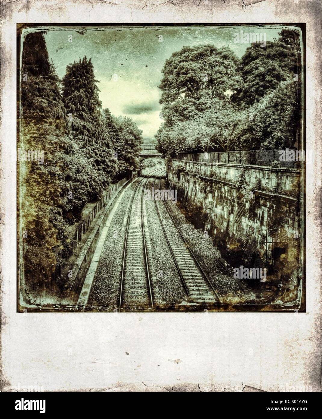 Railway trees cutting hi-res stock photography and images - Alamy