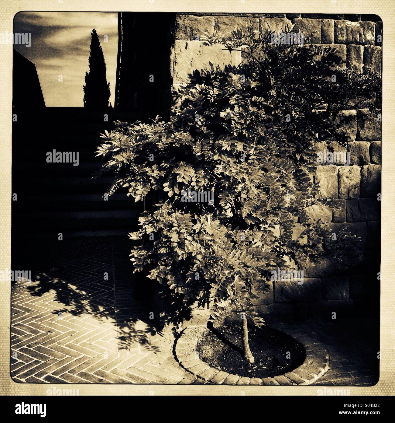 Solomeo hi-res stock photography and images - Alamy