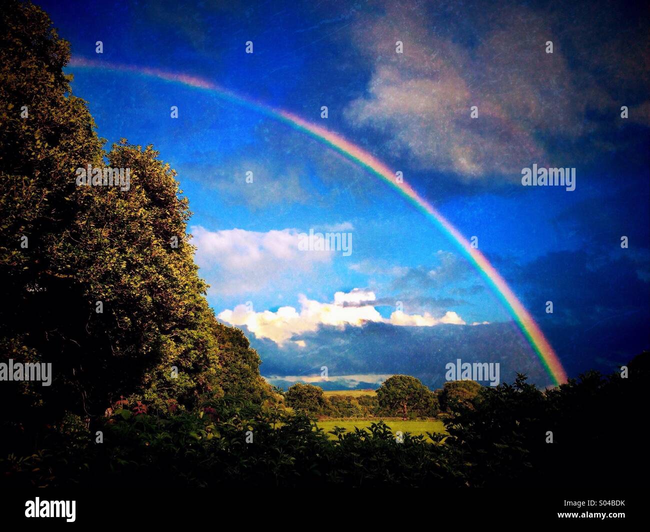 Rainbow and trees Stock Photo - Alamy