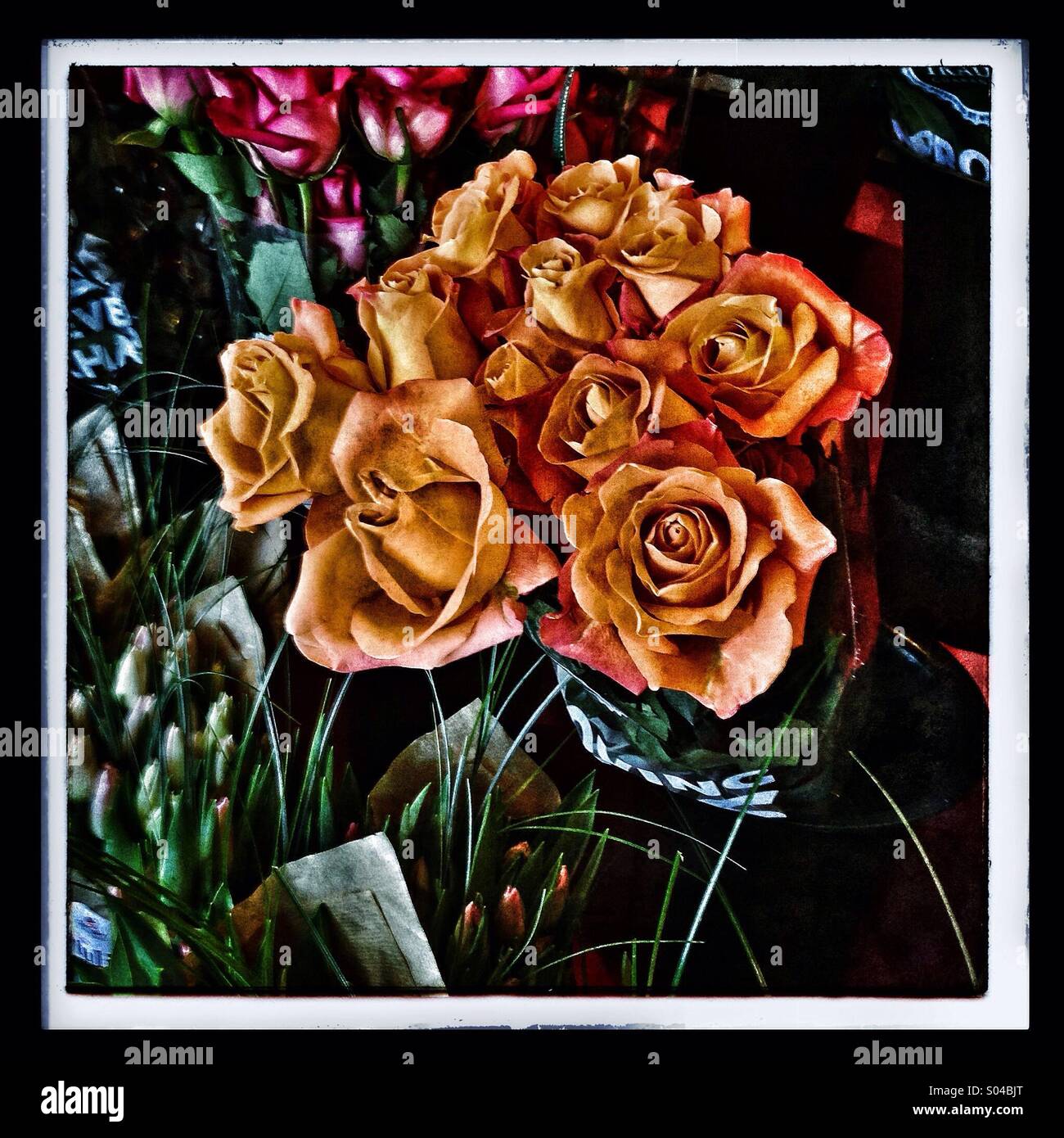 Hdr flowers hi-res stock photography and images - Alamy