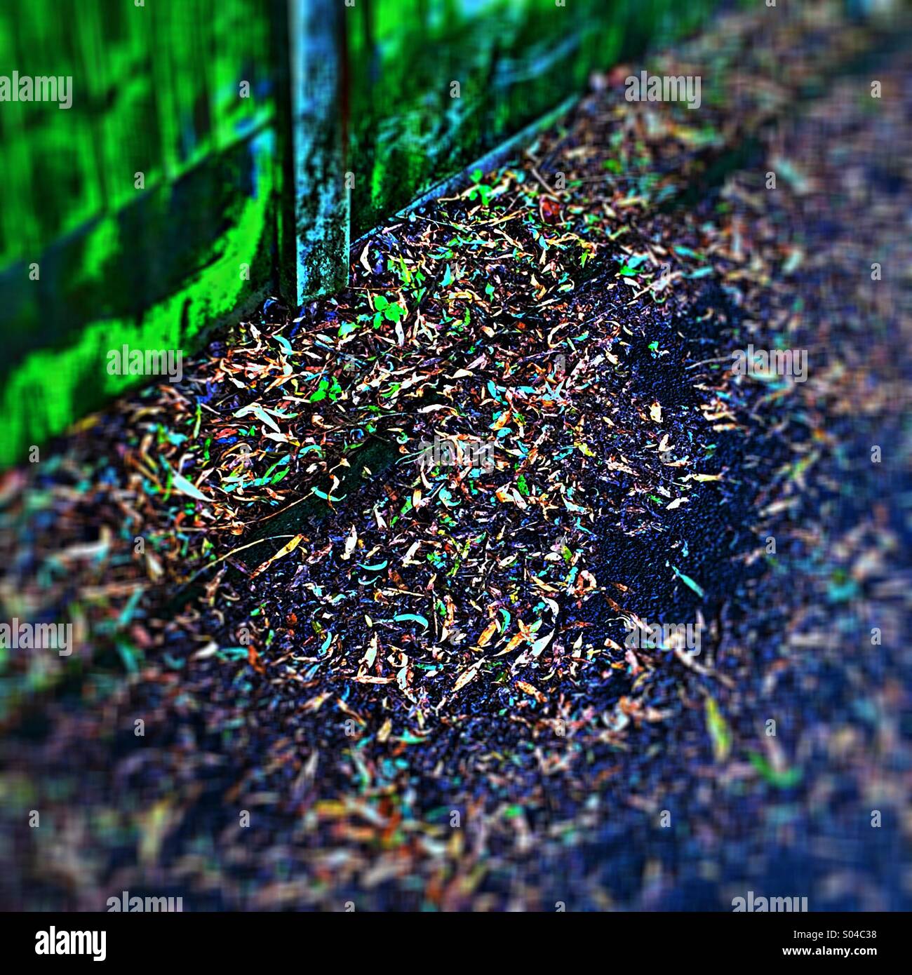 Fallen leaves and moss covered fence Stock Photo - Alamy