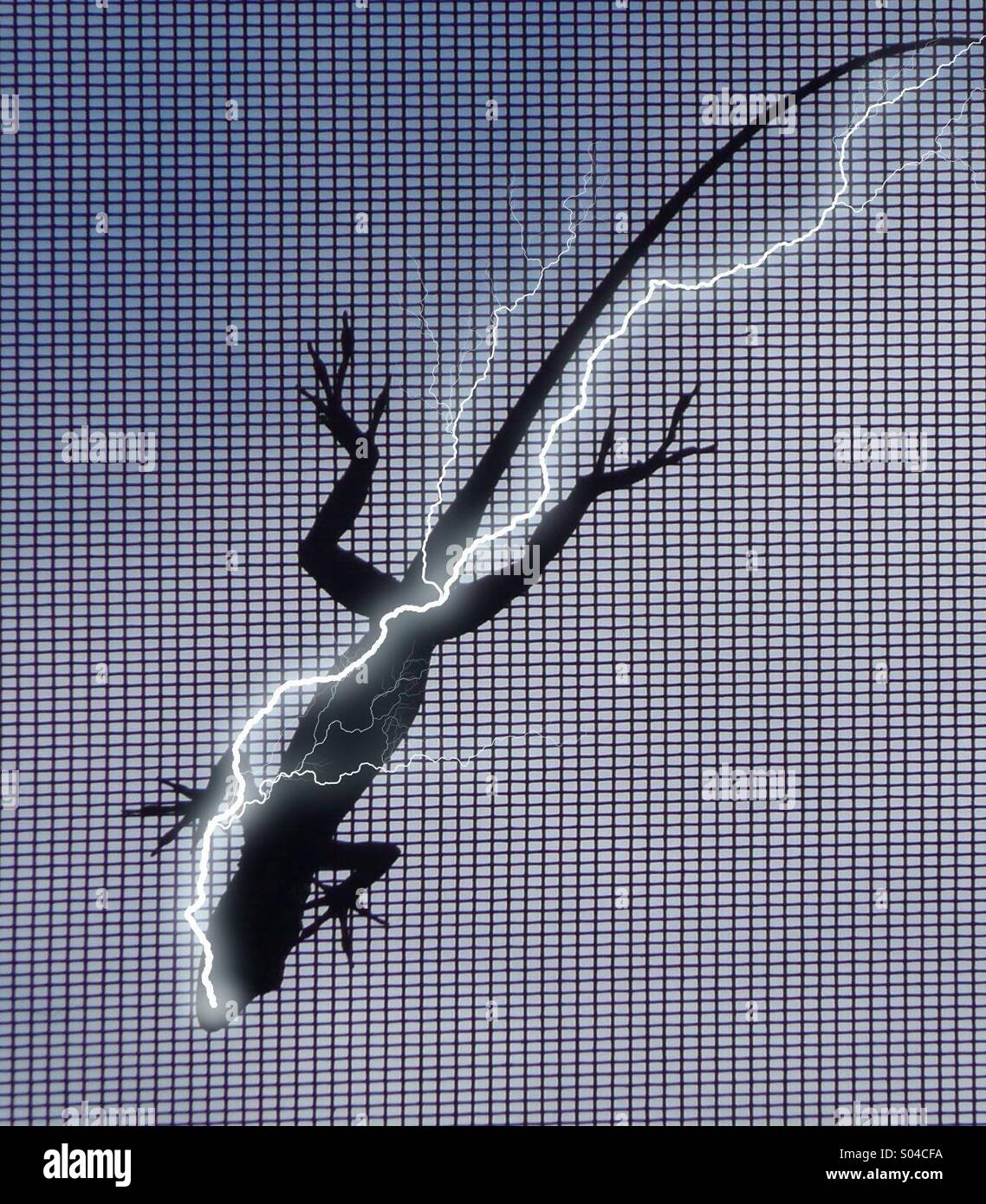 Electricity reptile hi-res stock photography and images - Alamy