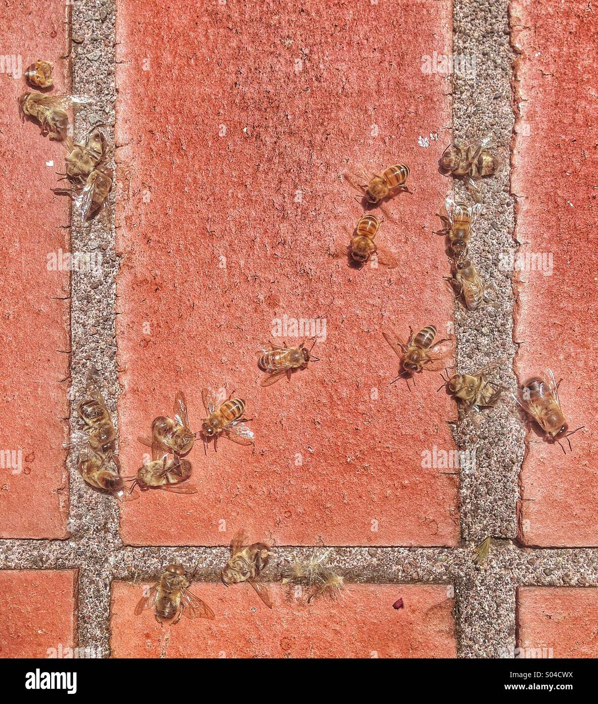 Cold spring morning hi-res stock photography and images - Alamy