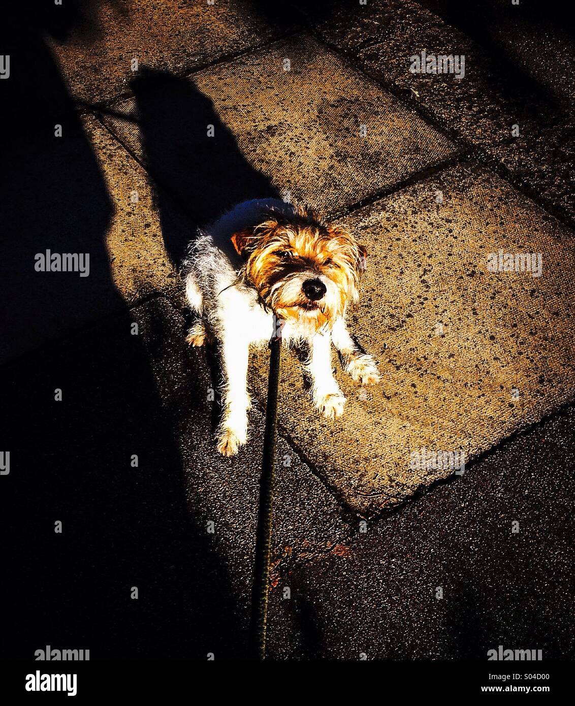 Reluctant hi-res stock photography and images - Alamy