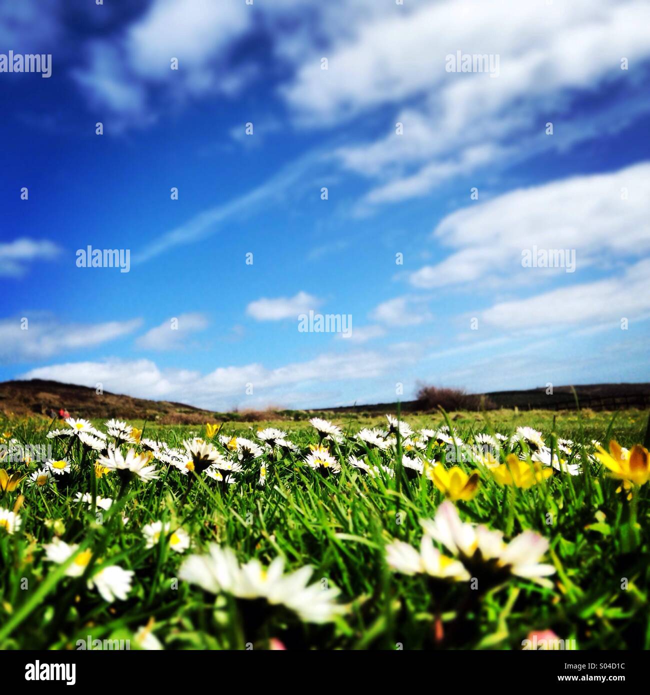Cornwall spring sun hi-res stock photography and images - Alamy