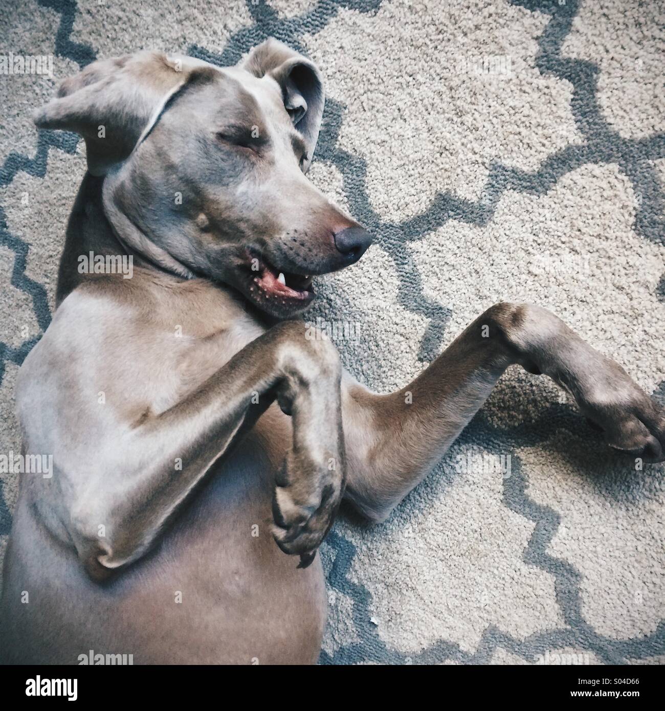 Groan hi-res stock photography and images - Alamy