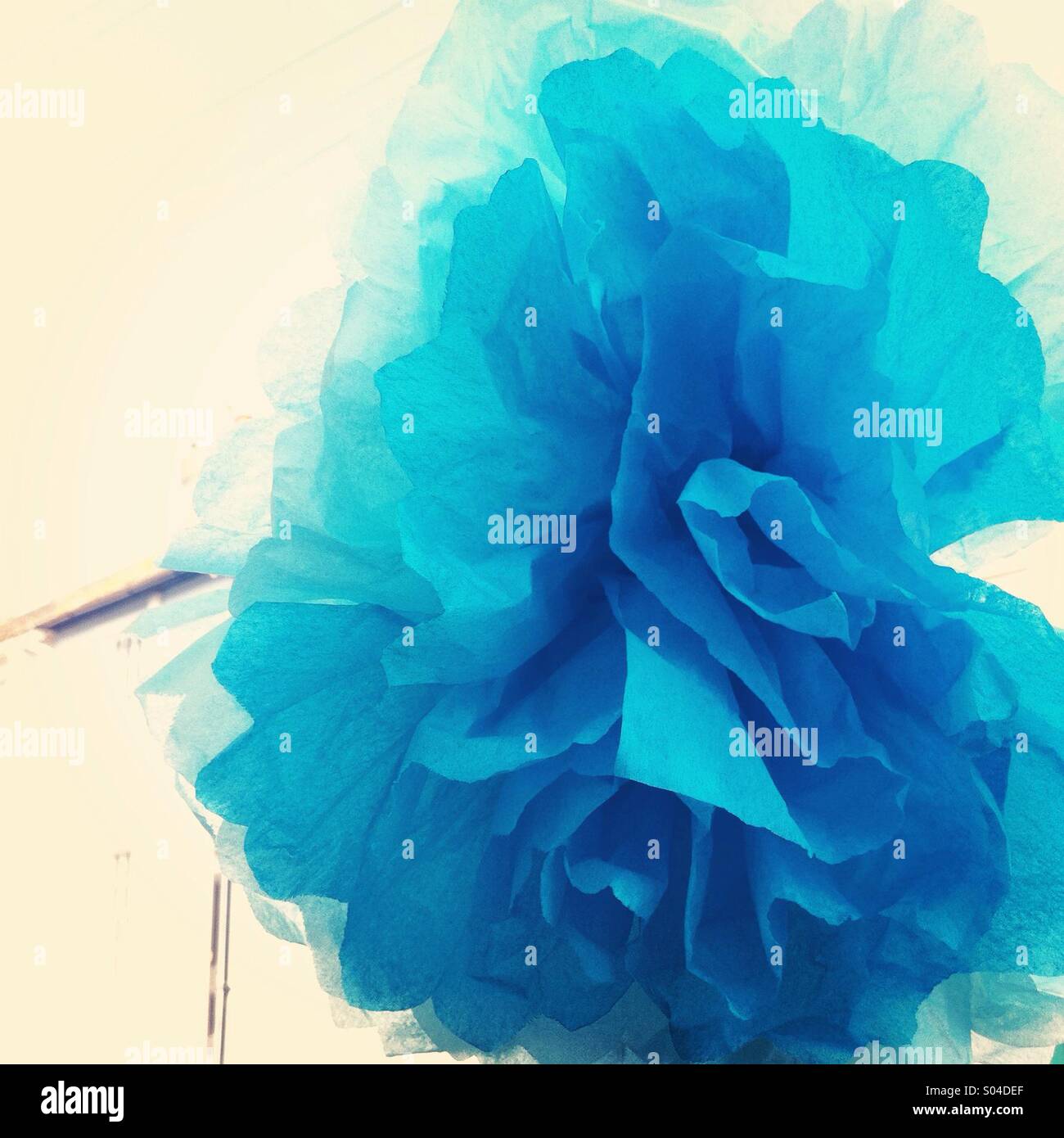 Blue paper flower Stock Photo - Alamy
