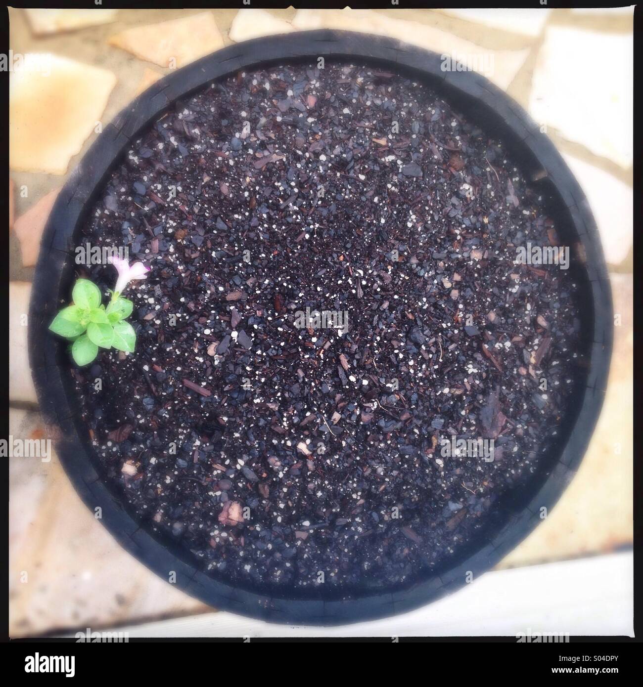 Big pot hi-res stock photography and images - Alamy