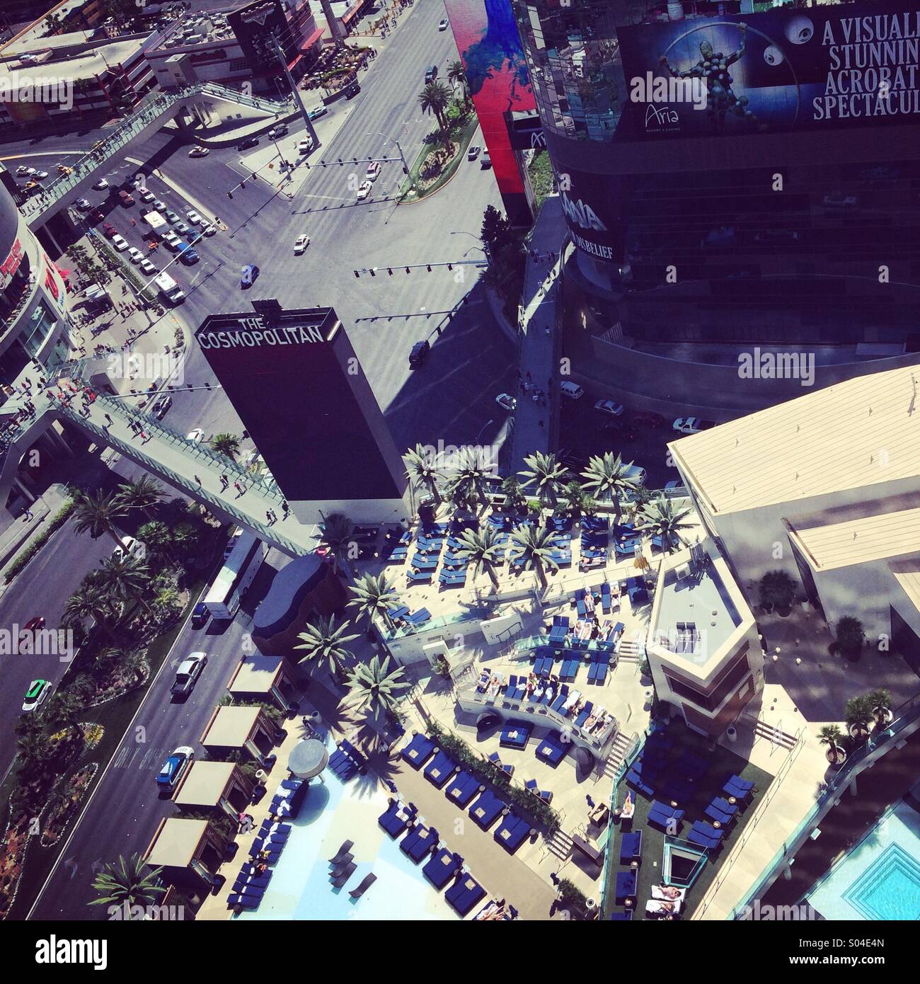 Cosmopolitan Pool Layout