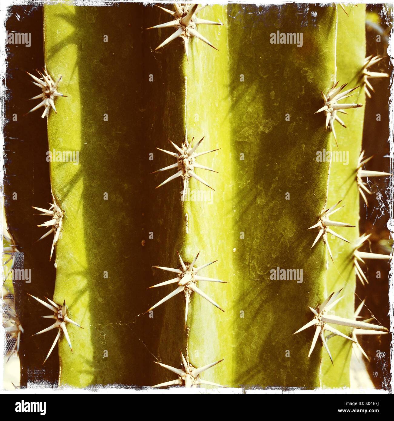 Sharp Points High Resolution Stock Photography and Images - Alamy