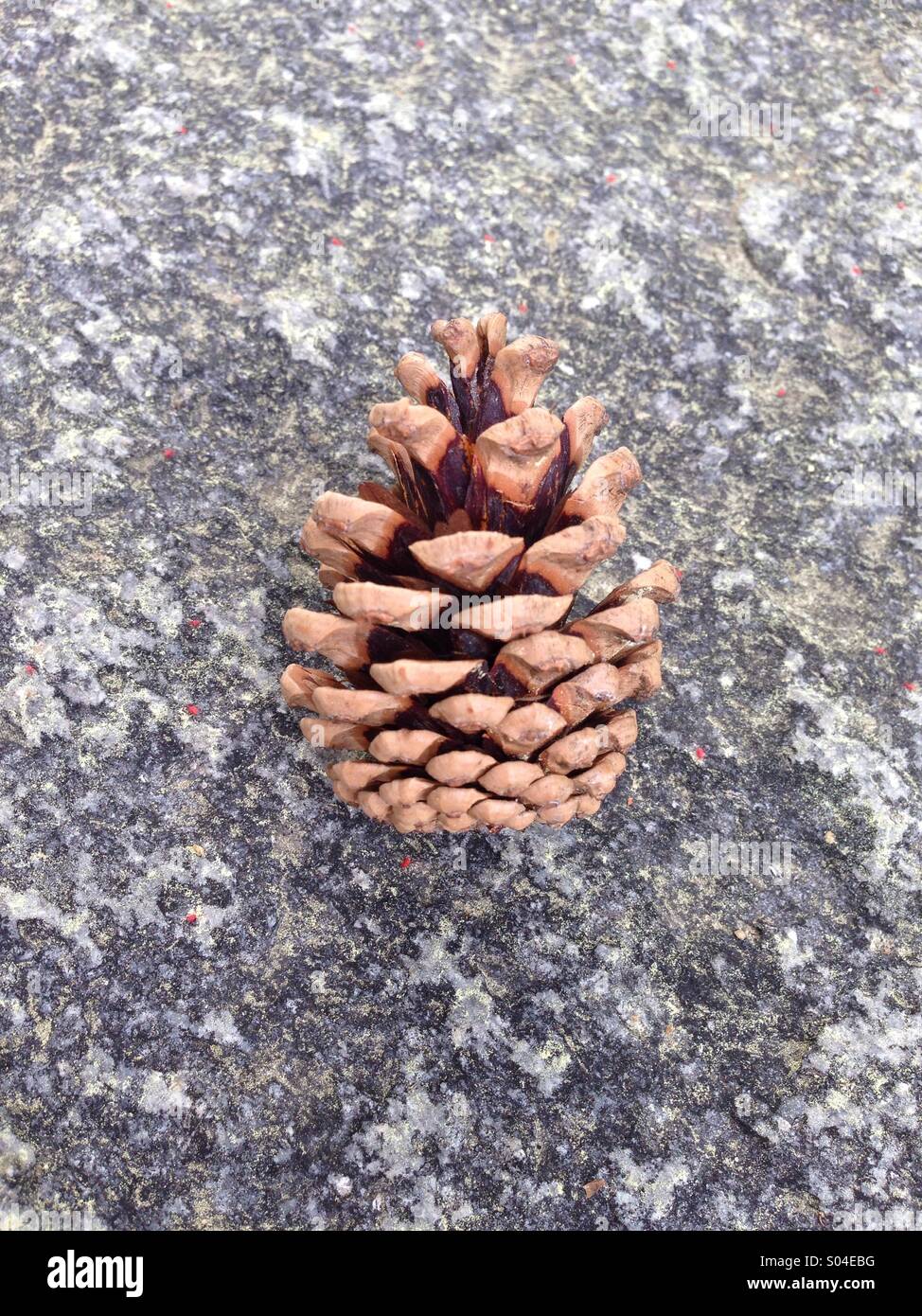 Lock screen and wallpaper hi-res stock photography and images - Alamy