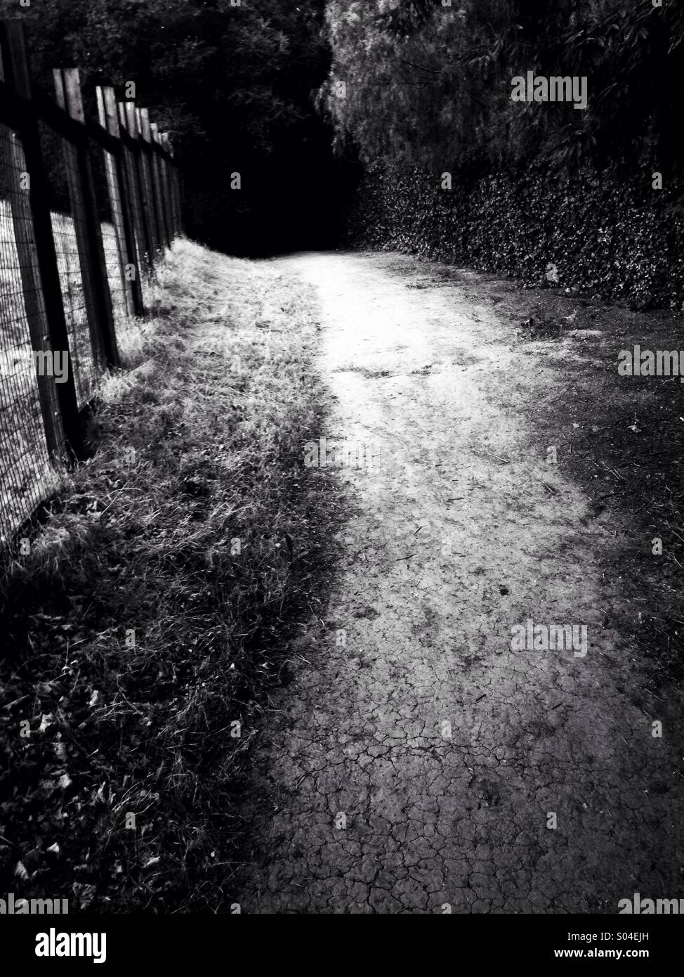 Scary path, black and white Stock Photo - Alamy
