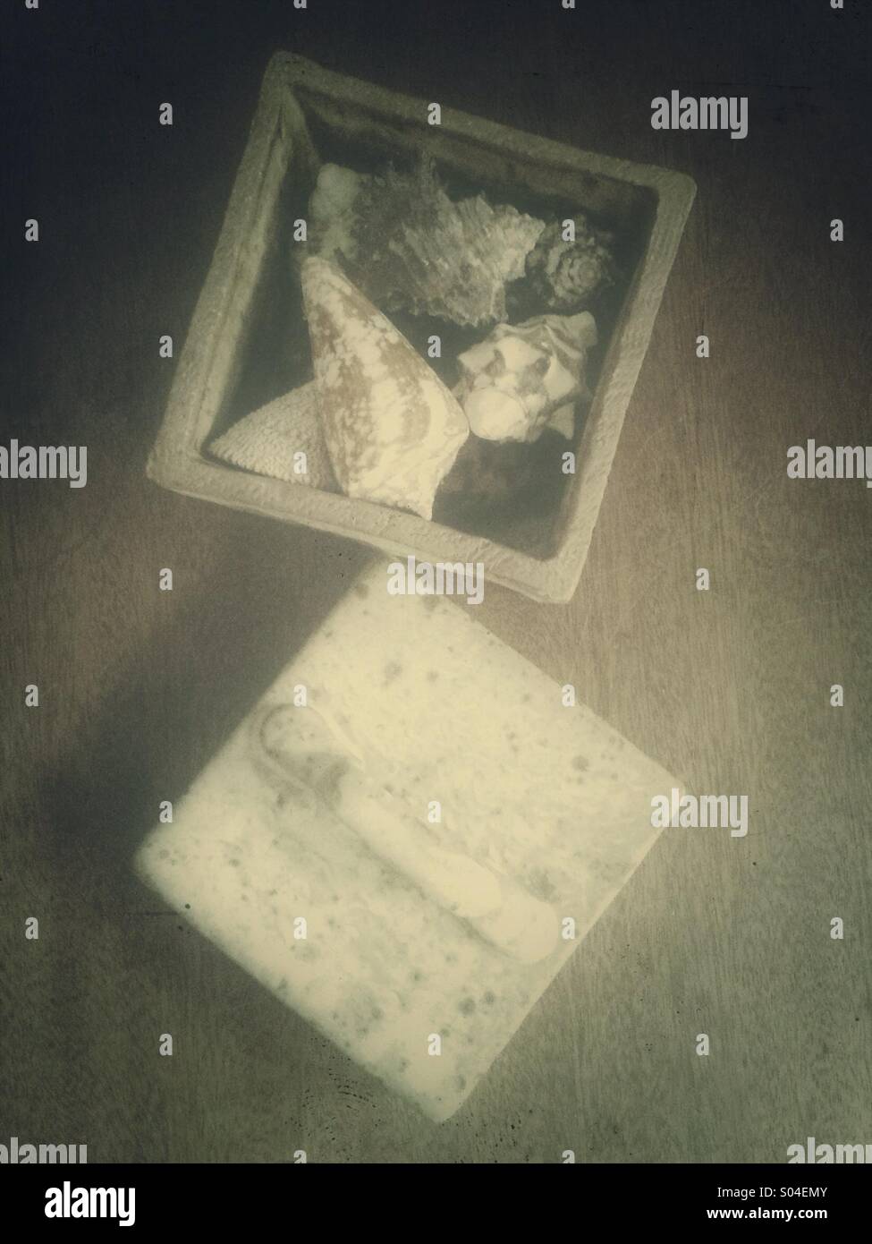 Shells in a box Stock Photo - Alamy